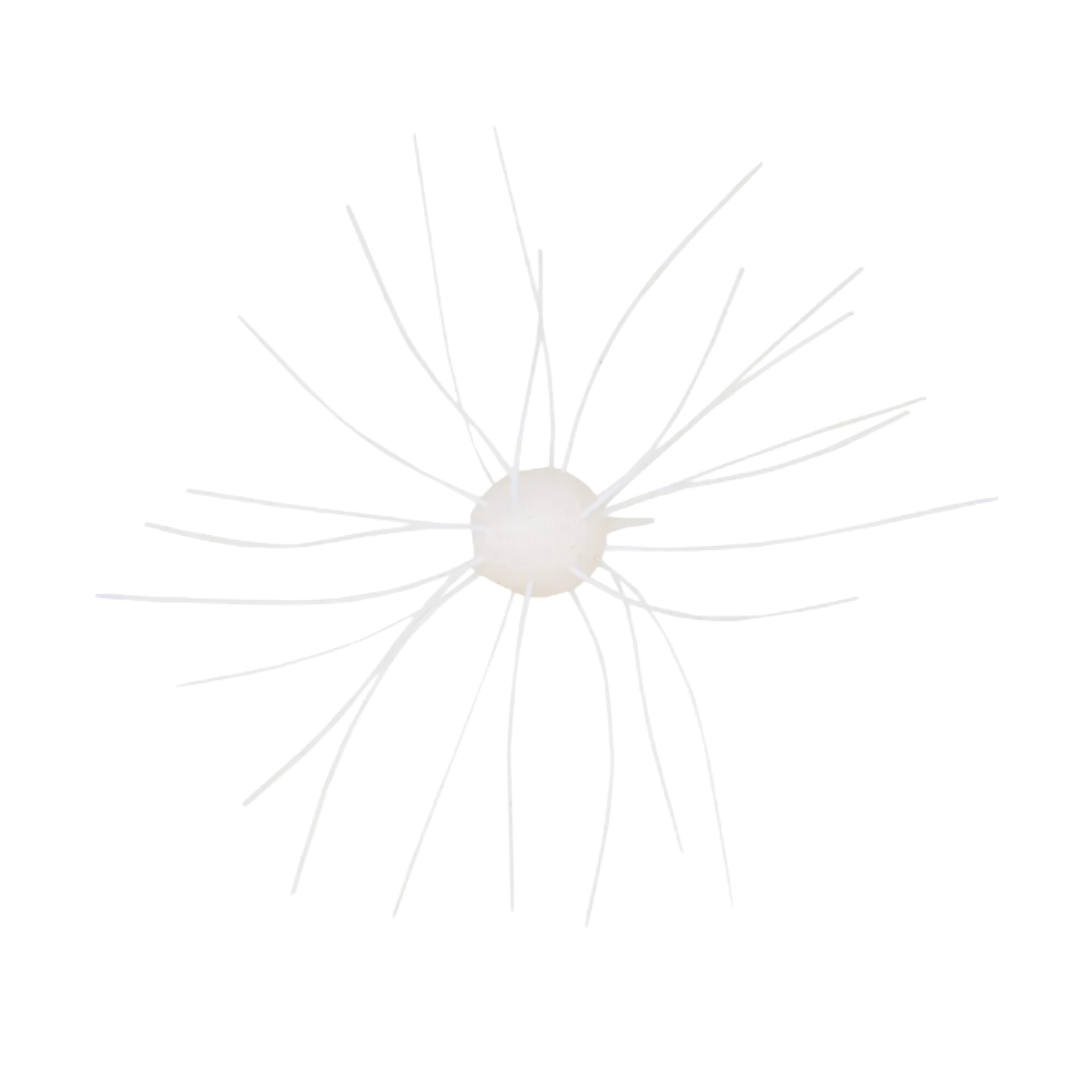 GEECRACK FINESSE CUE BOMB 1.0" | Copperstate Tackle