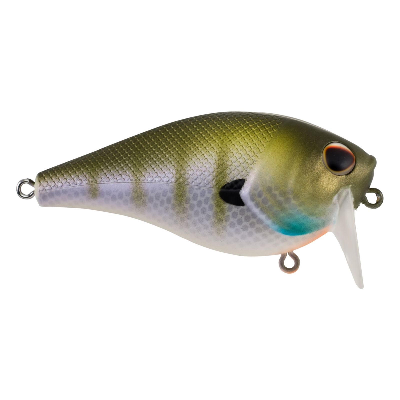 BERKLEY WAKEBULL | Copperstate Tackle